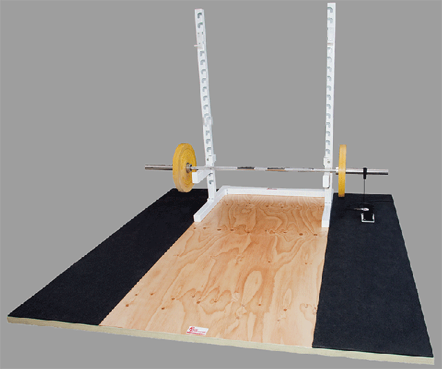 Fitness Technology Olympic Training and Performance Platforms